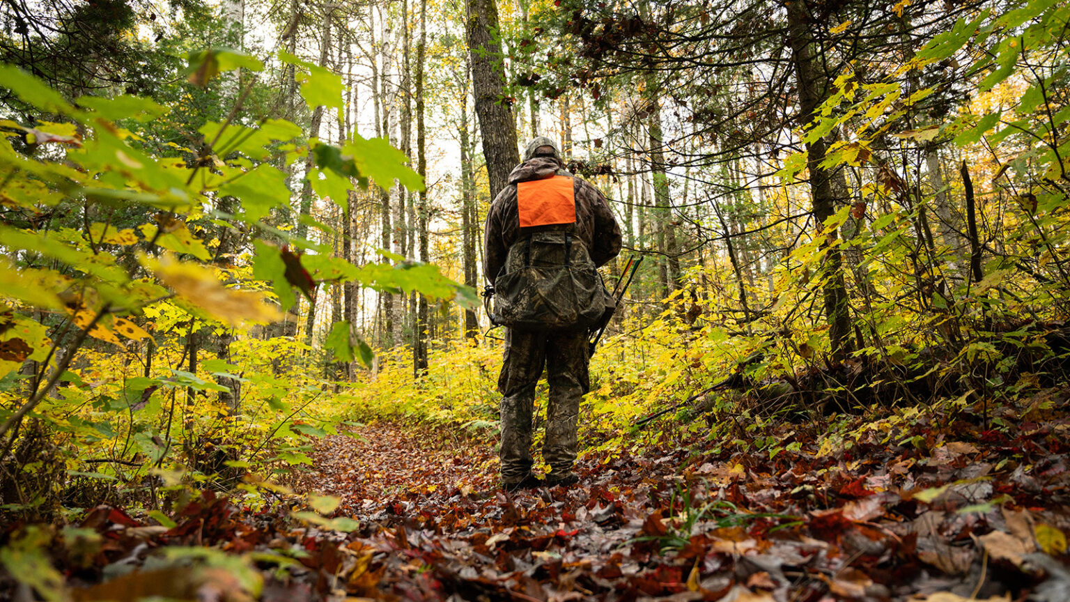 Get Hunting with OFAH